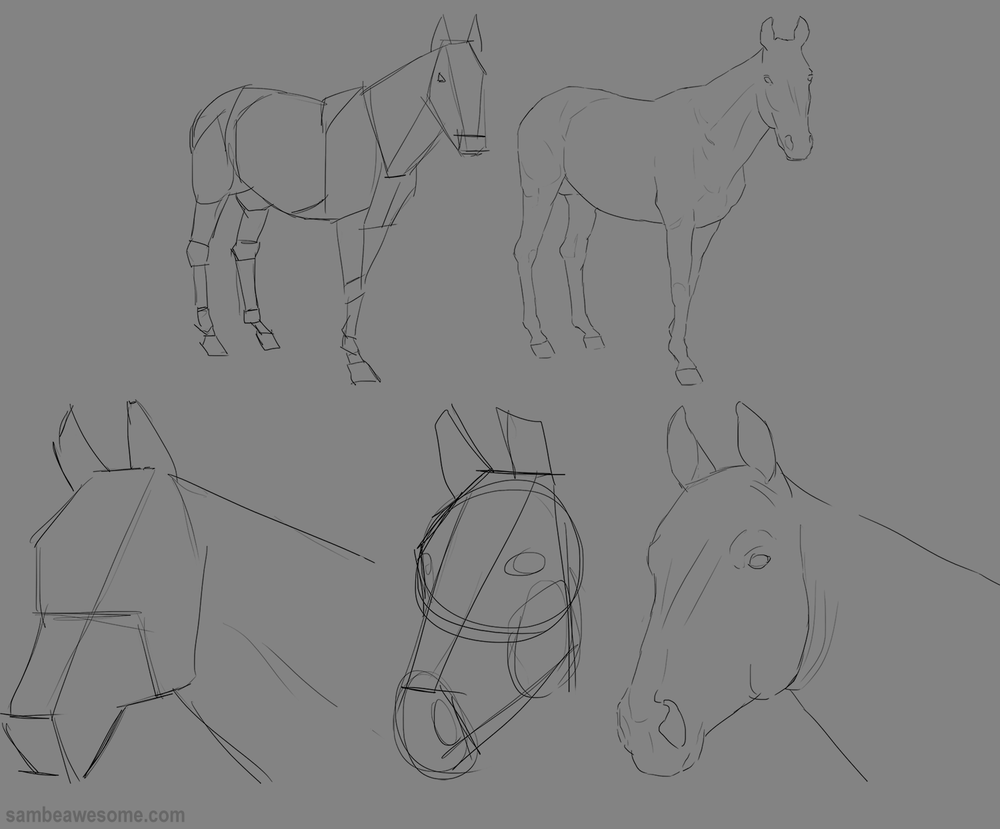 Can Tracing Help Improve Your Art? -- The Tracing Challenge — SamBeAwesome