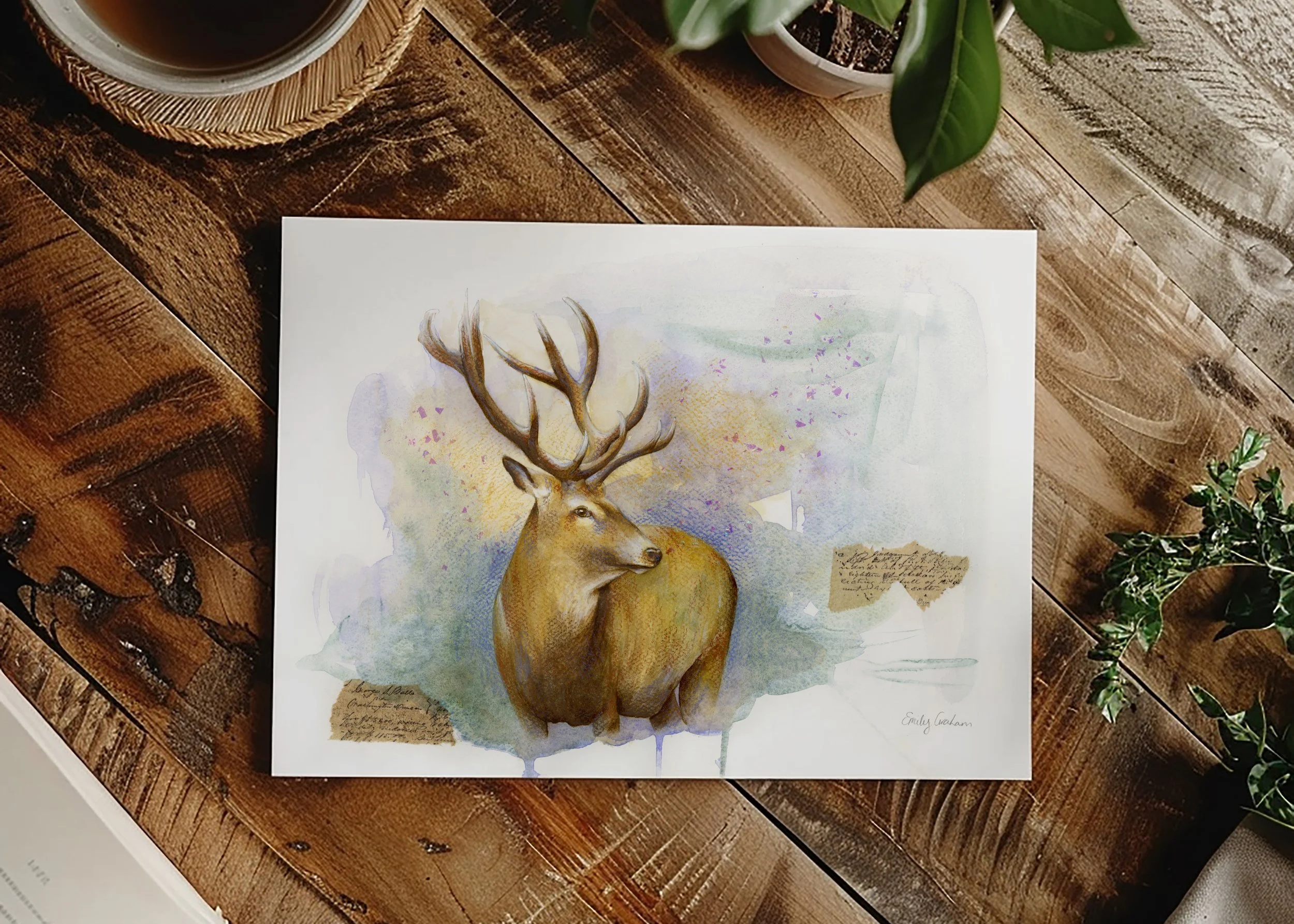 Emily Graham Artist | Nature & Wildlife Artist