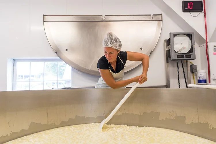Organic, Artisan Vermont Cheese from von Trapp Farmstead — von Trapp ...