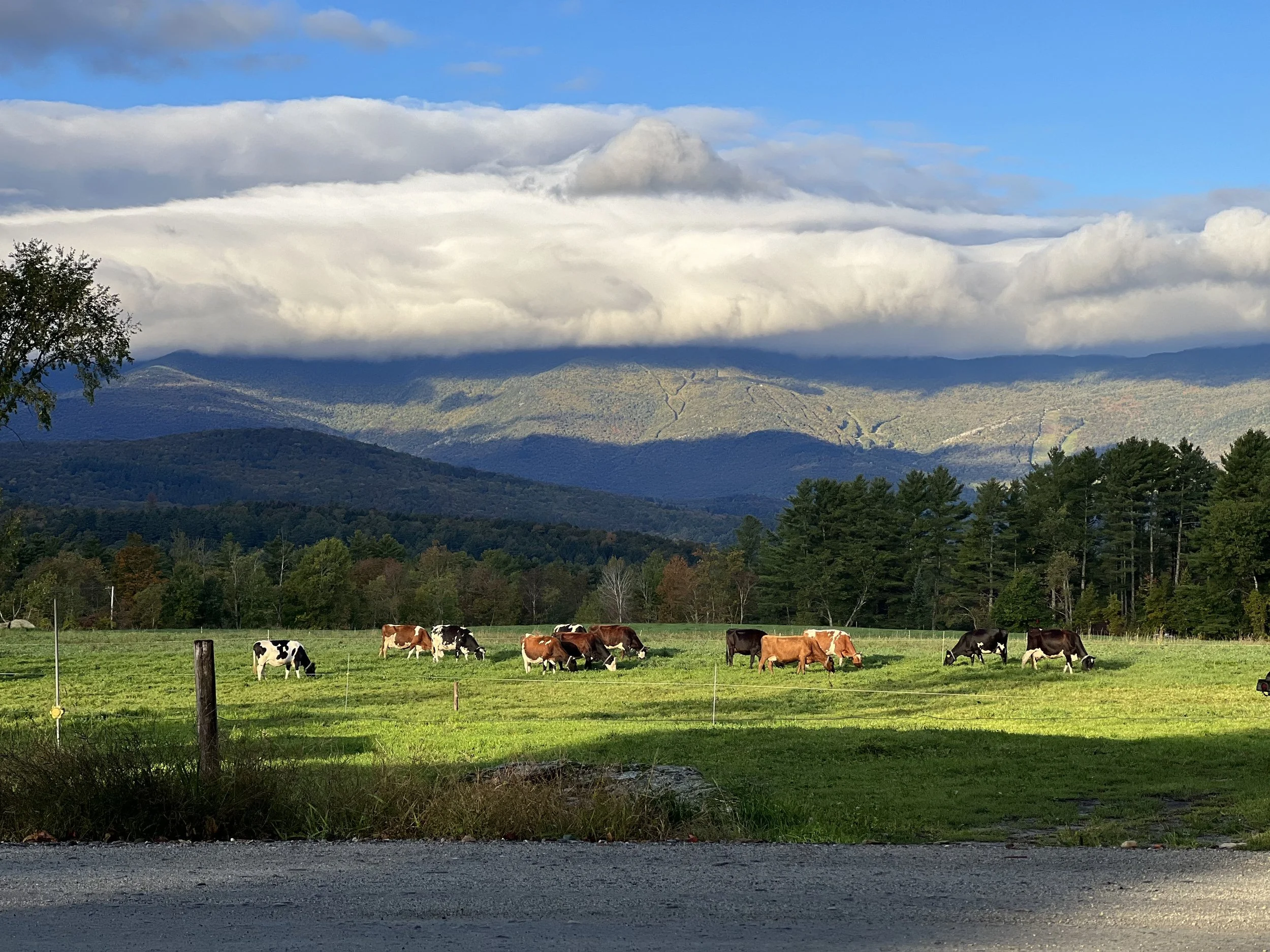 Employment — von Trapp Farmstead