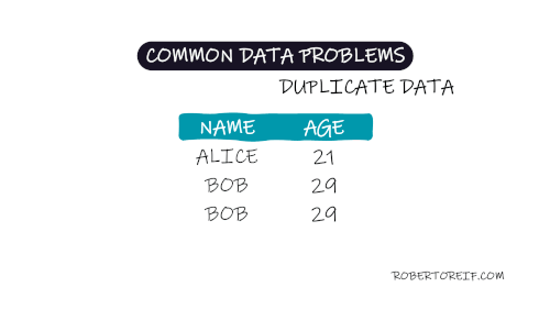 Common Data Problems: Duplicate Data — Roberto Reif