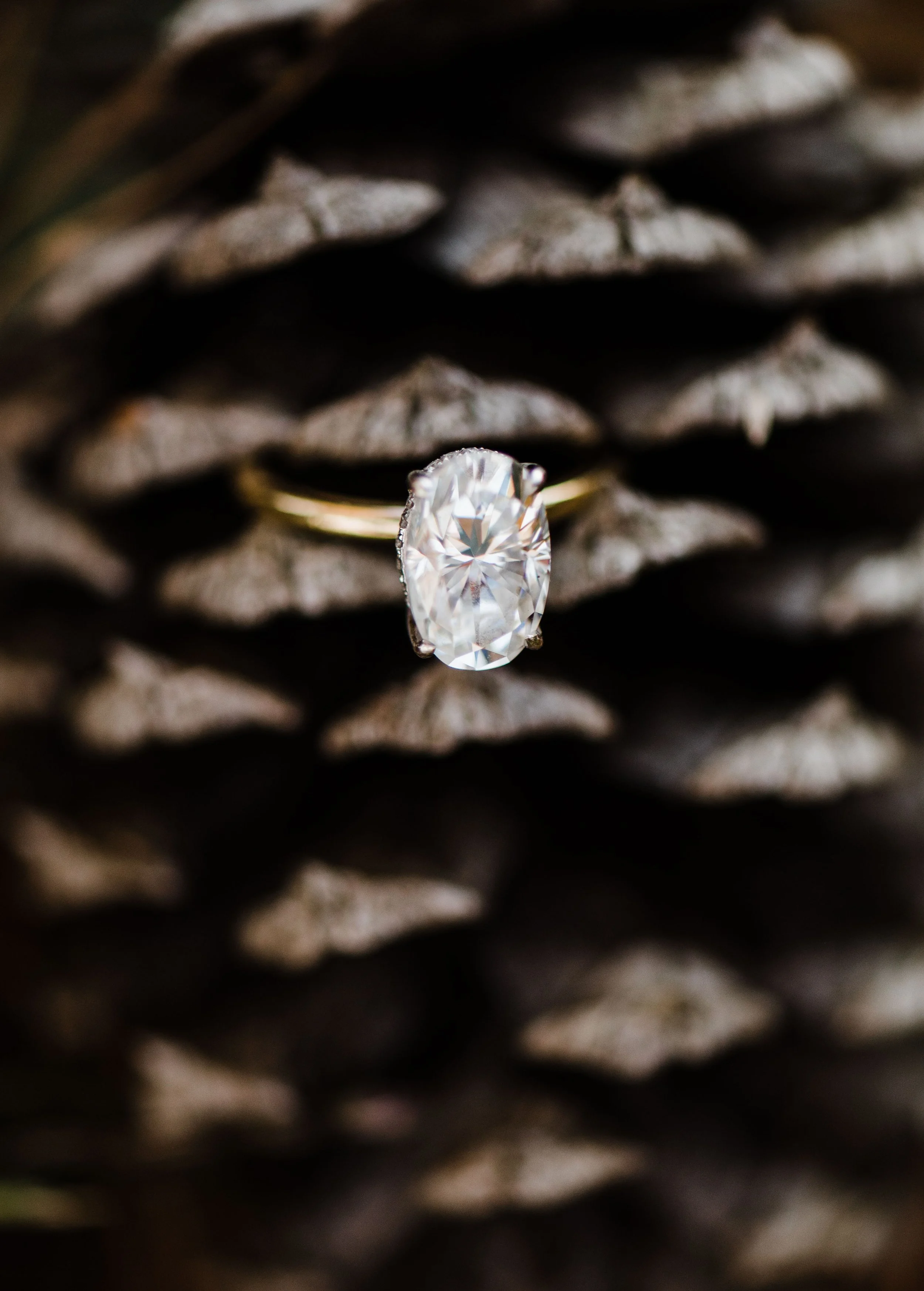 A Roanoke Virginia Engagement Photoshoot - Caroline & Alex