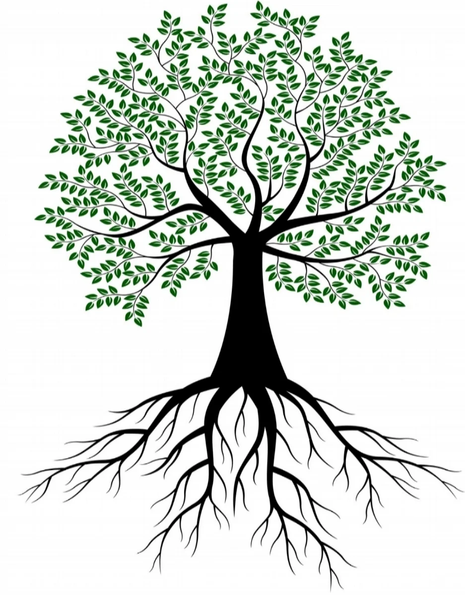 The Henry Sale Foundation