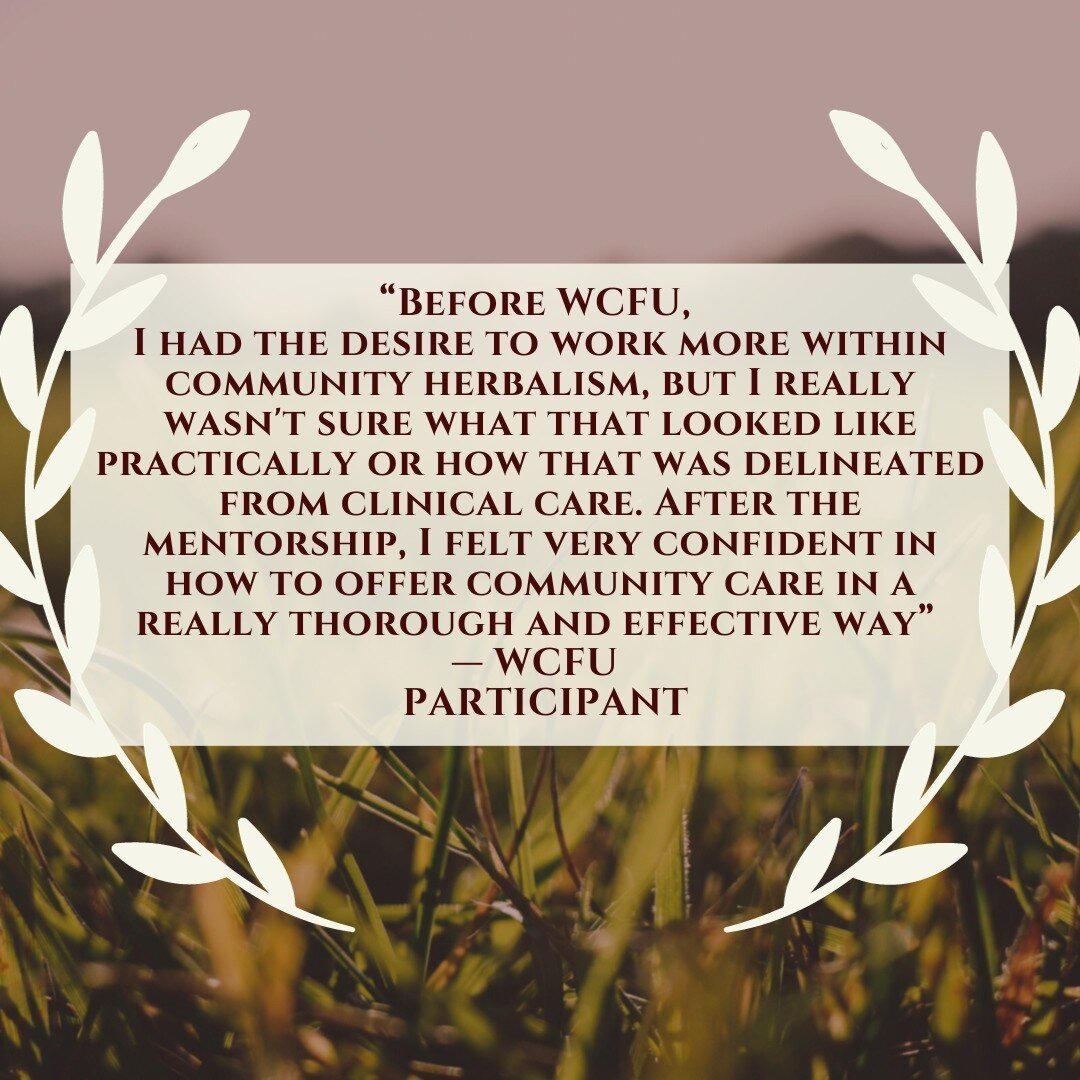 Rootwork Herbals | Liberatory Community Herbalism