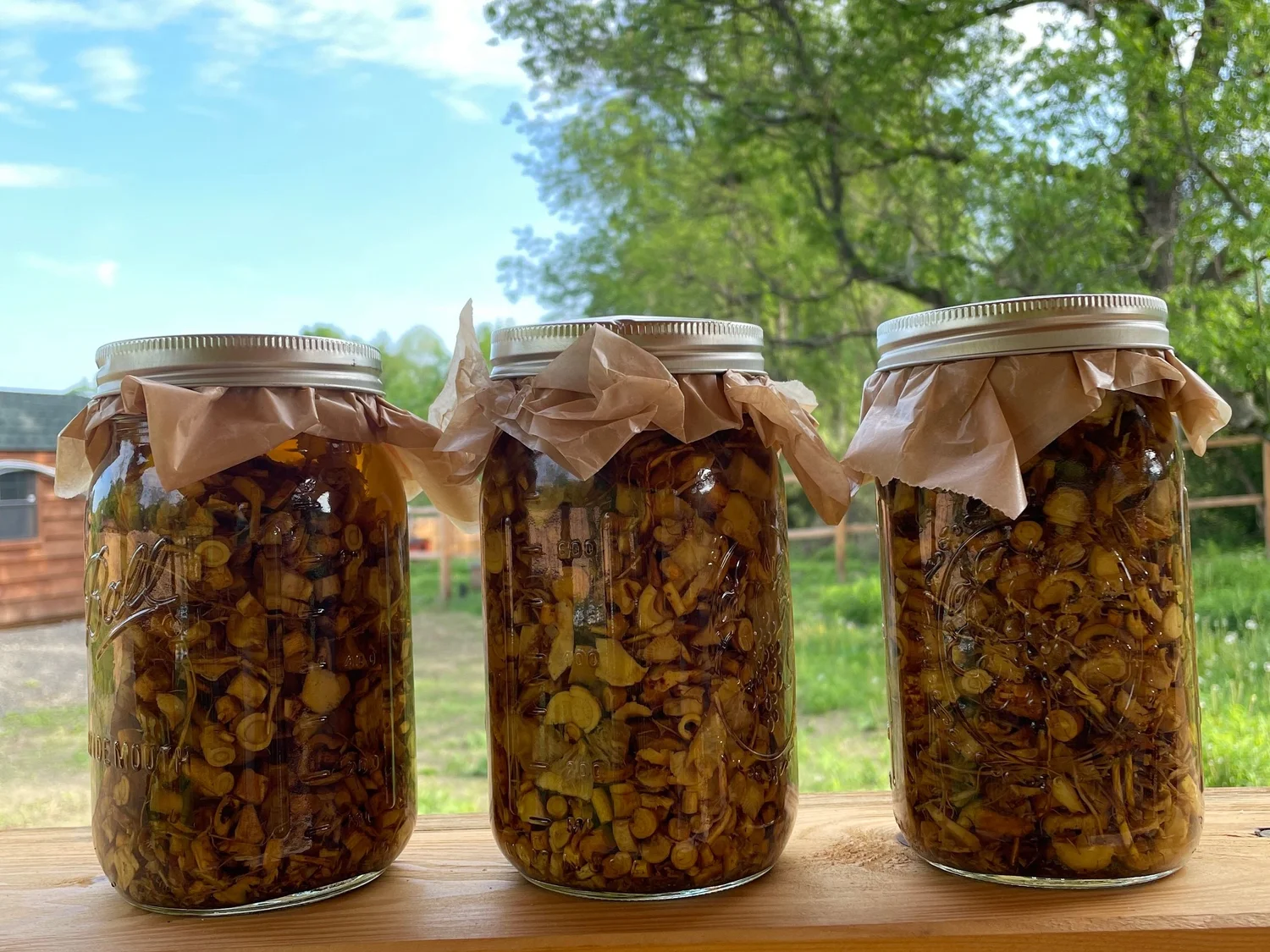 Rootwork Herbals | Liberatory Community Herbalism