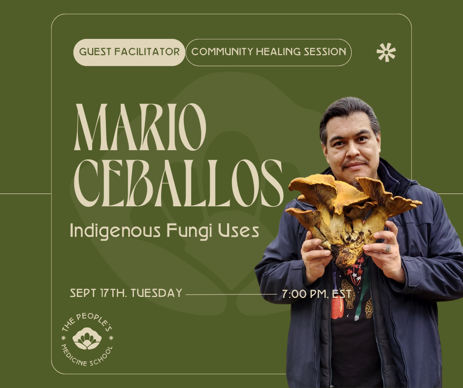 Gatherings — Rootwork Herbals | Liberatory Community Herbalism