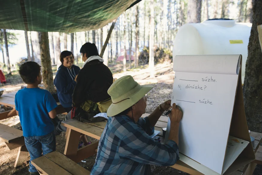 Land Use Planning — Boreal Conservation