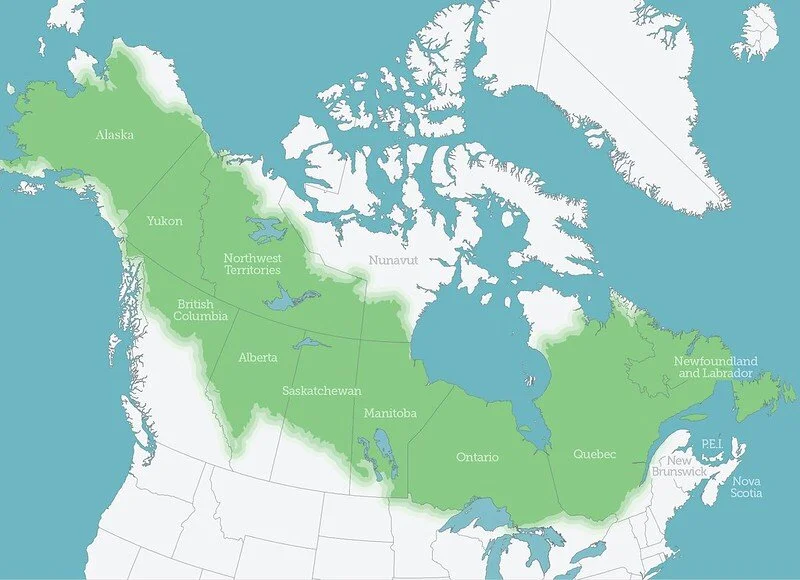 A Last Chance for Large-Scale Conservation — Boreal Conservation