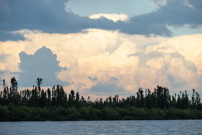 How an IPCA would Sustain Boreal Abundance in the Seal River Watershed ...