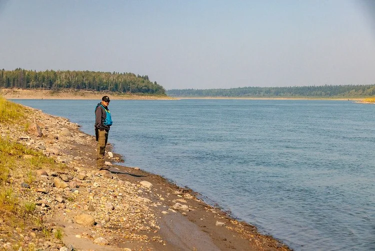 5 Boreal Brights Spots in 2024 — Boreal Conservation