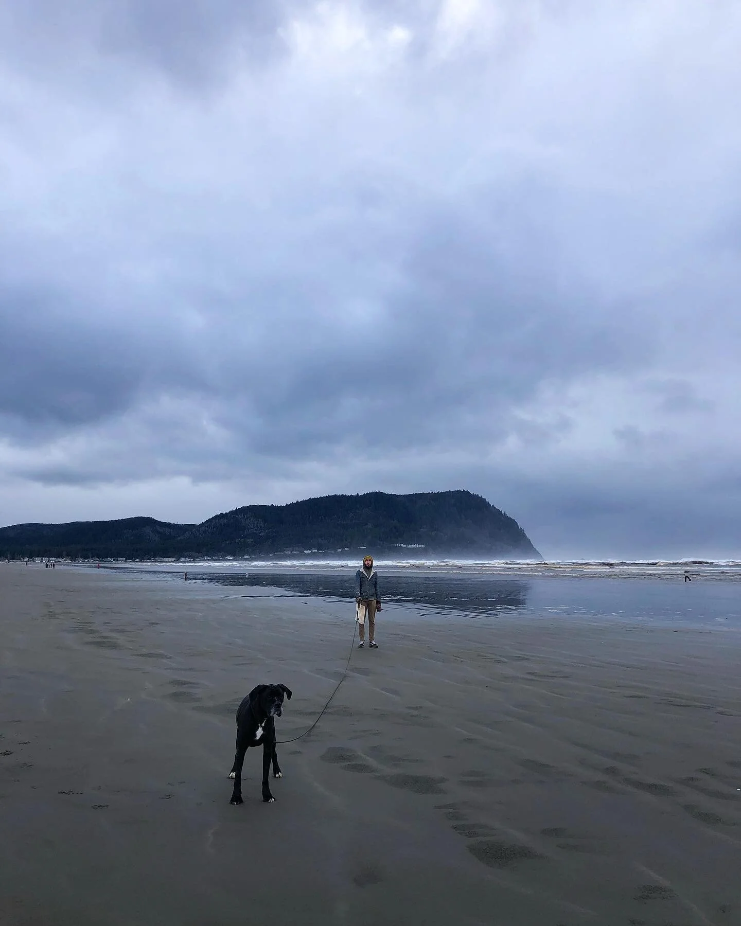 TWO CROWS FOR COMFORT