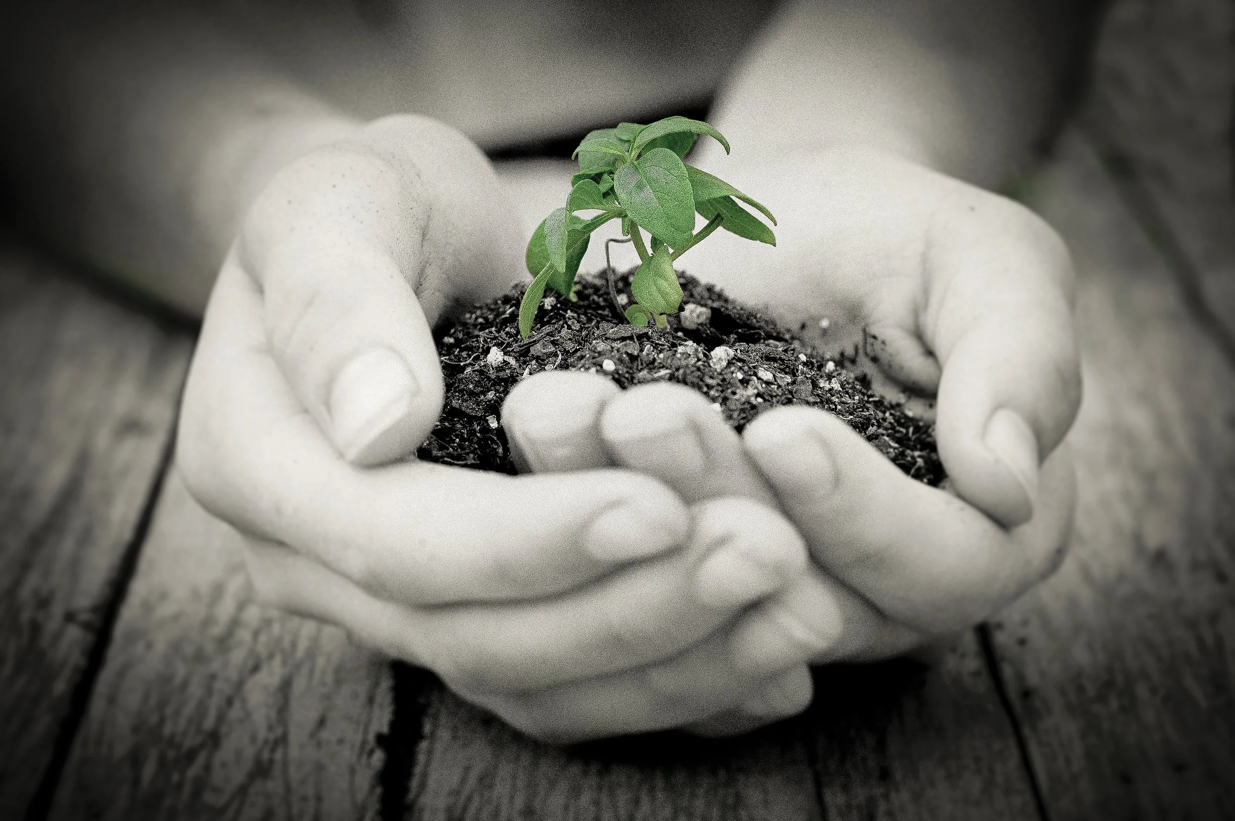 Give — First Evangelical Church Glendale