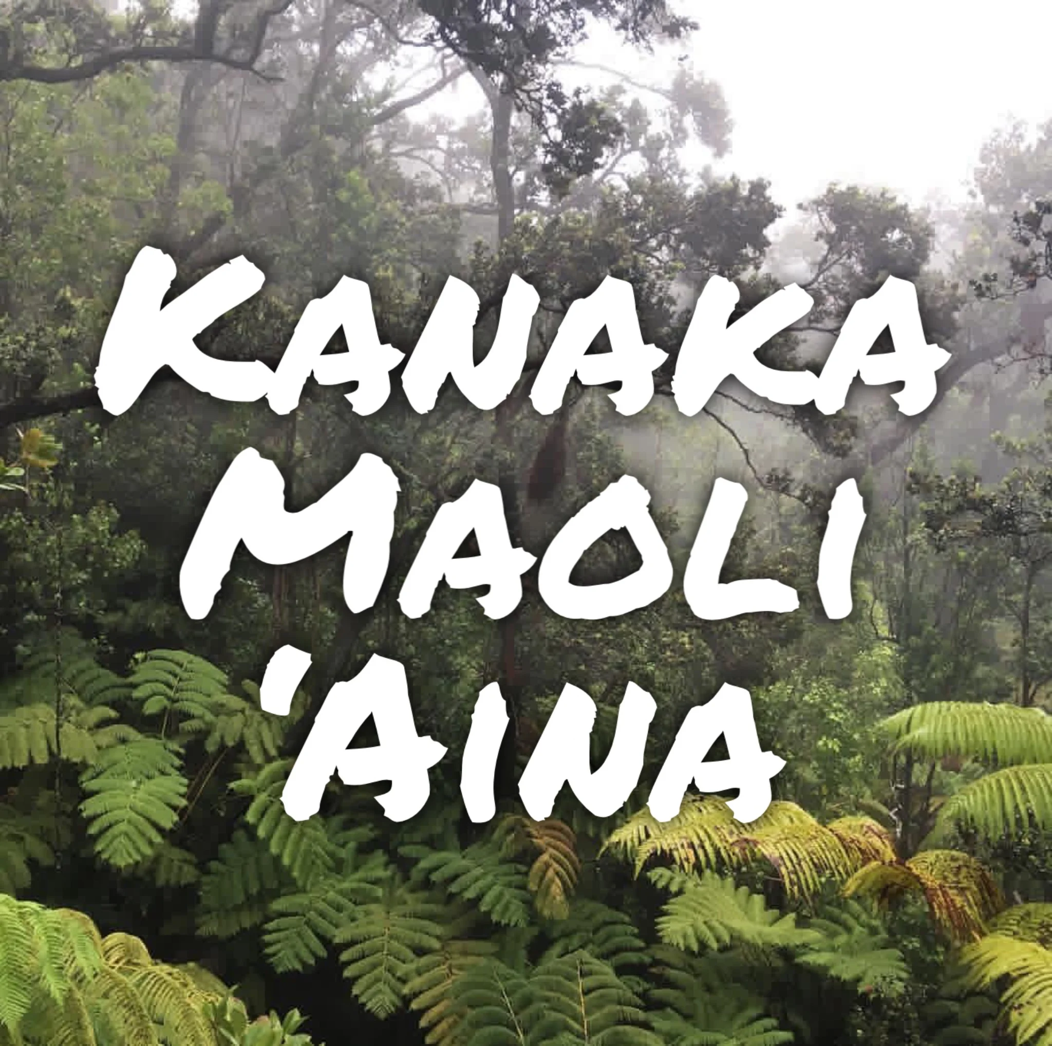 Hawaii Volcanoes National Park is Kanaka Maoli Land — Indigenous Geotags