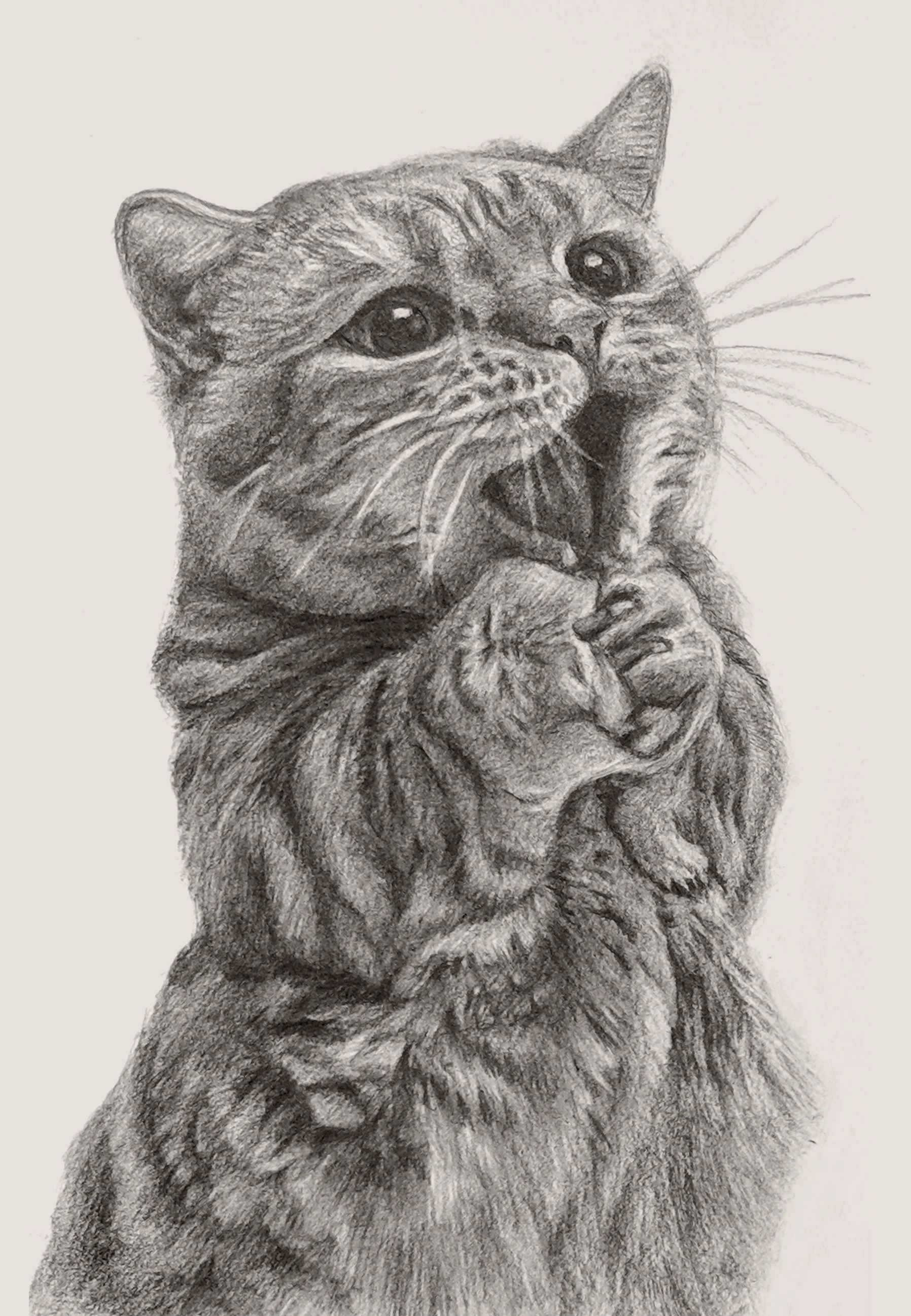 Graphite Illustration — BENEDEK CHEN