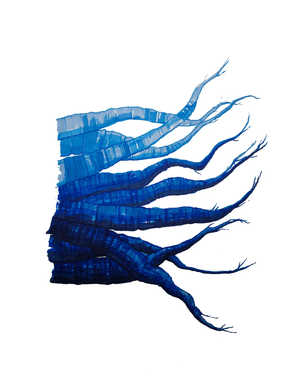 Blue Carrot