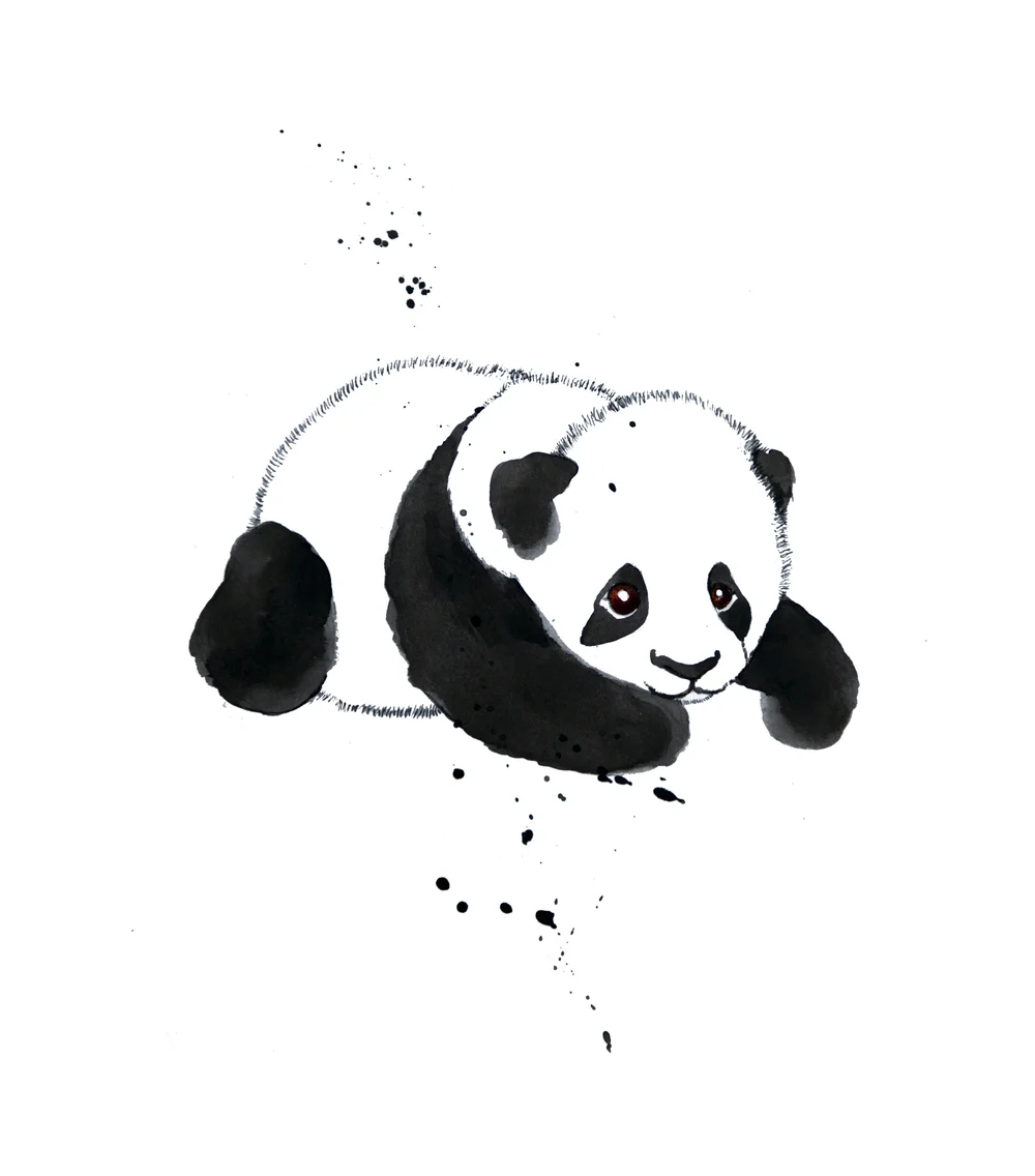 Baby Panda Sketch