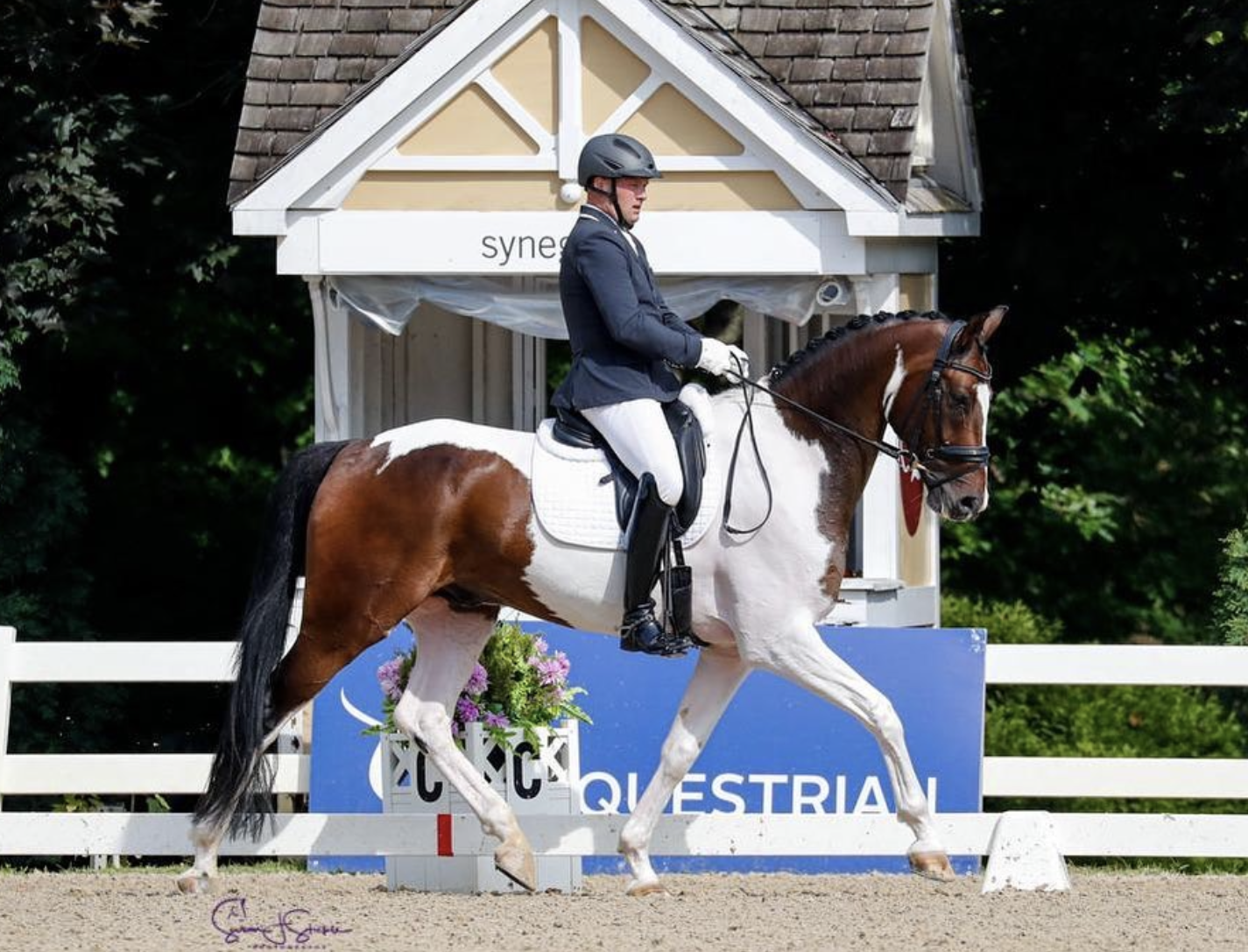 The Perfect Fit Saddlery