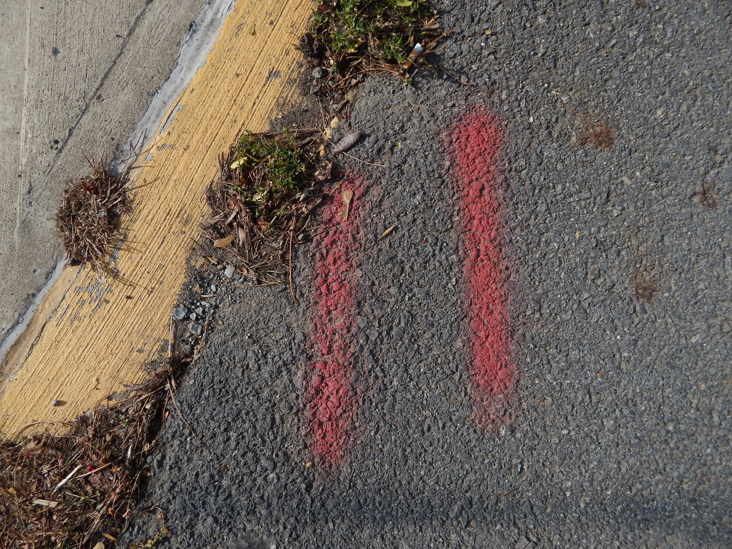 Chase Twichell — Rick Henry