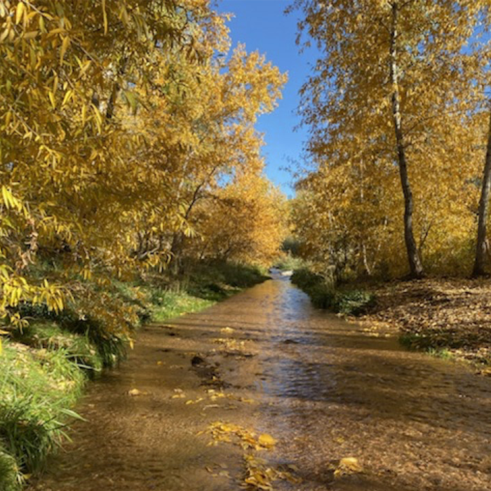 Reading List — The Transcendentalist
