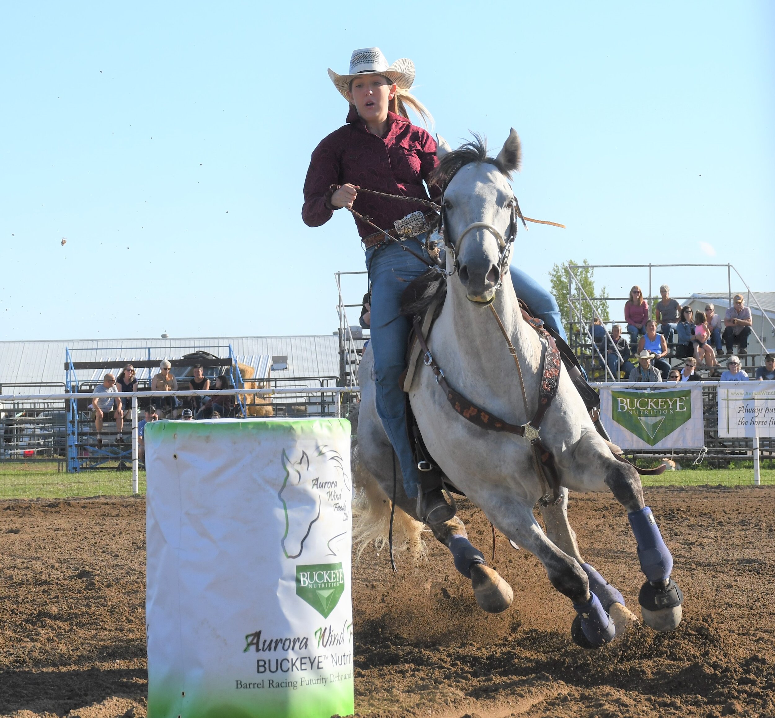 Olds Alberta Barrel Racer Claims $10,500 Prize — MJ Independent