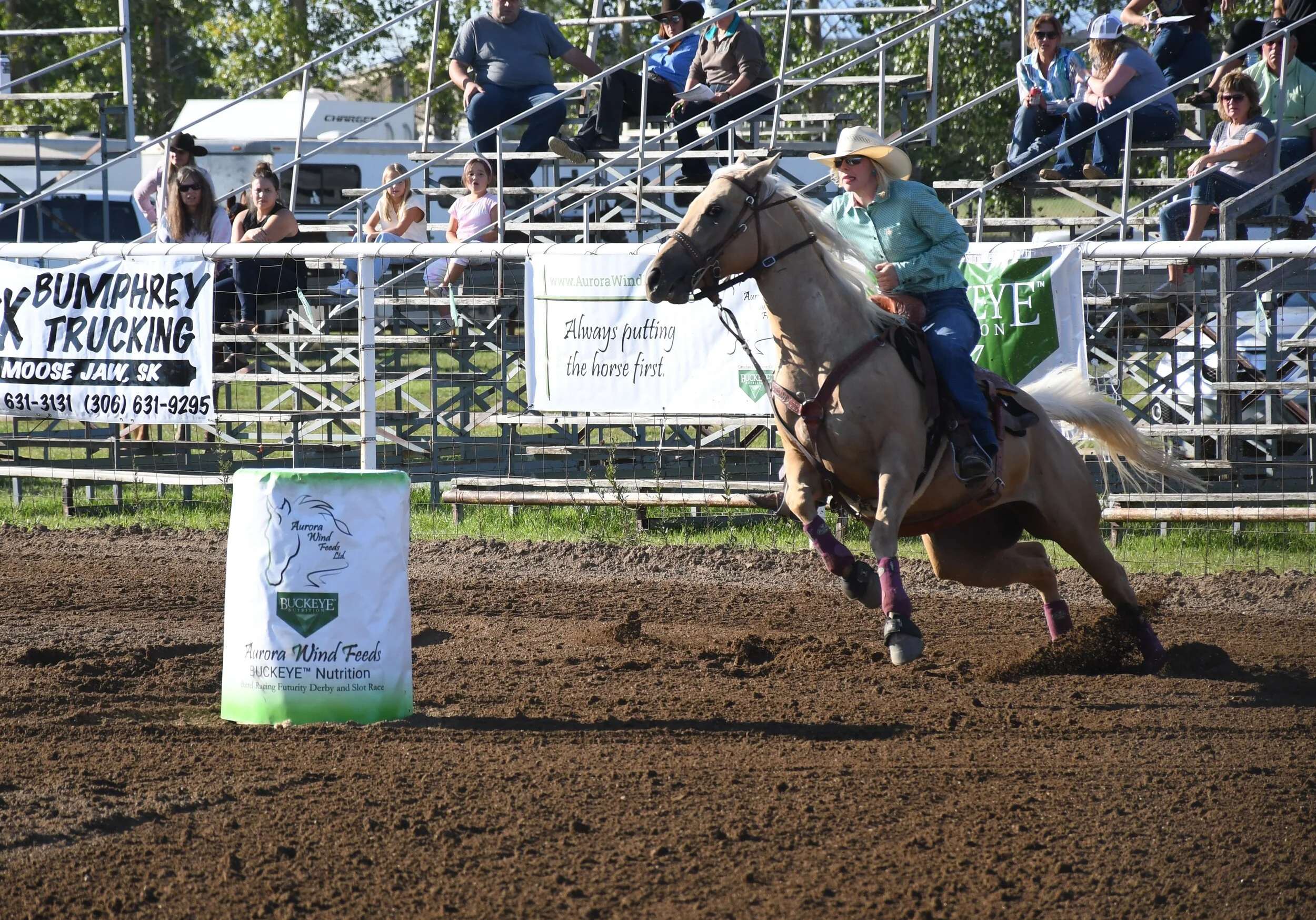 Olds Alberta Barrel Racer Claims $10,500 Prize — MJ Independent