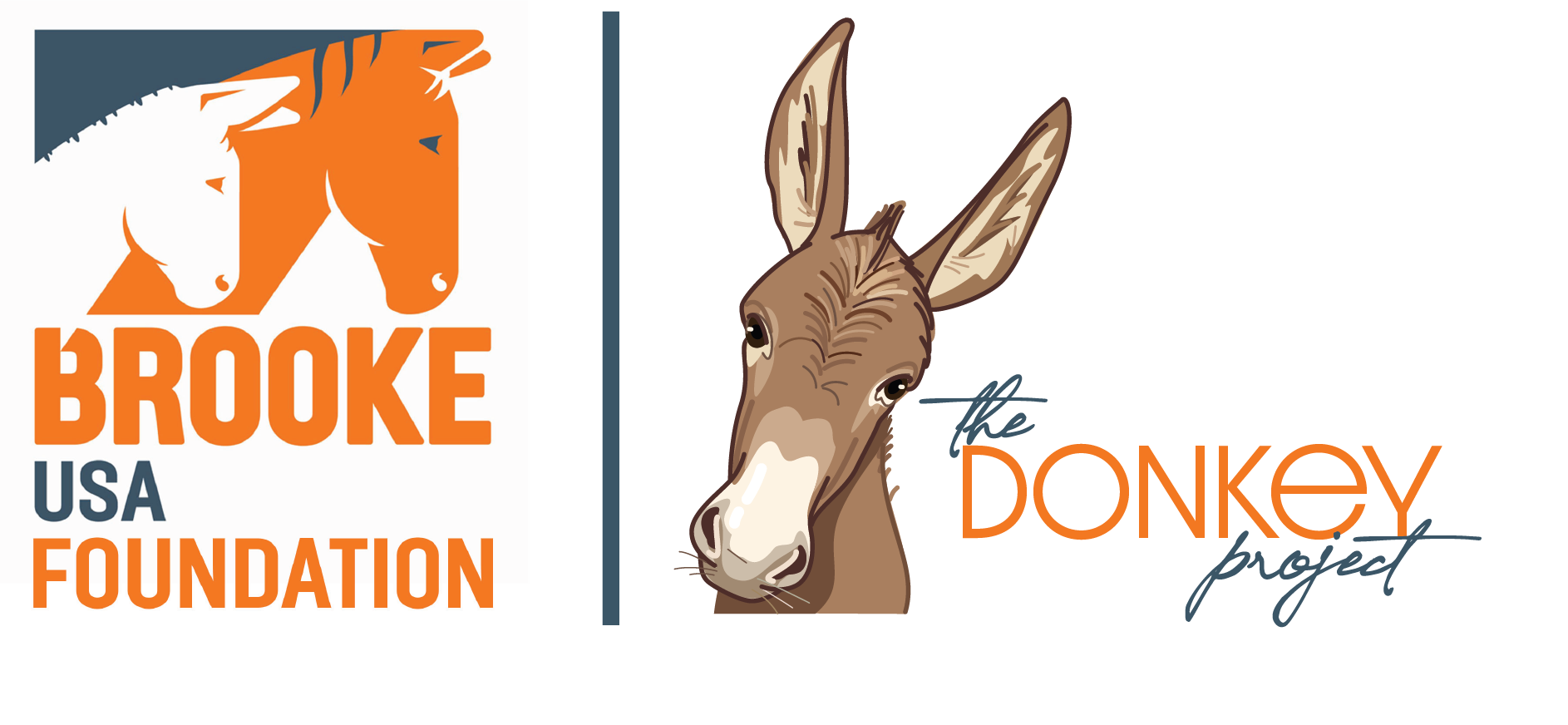 Current Projects — Brooke USA