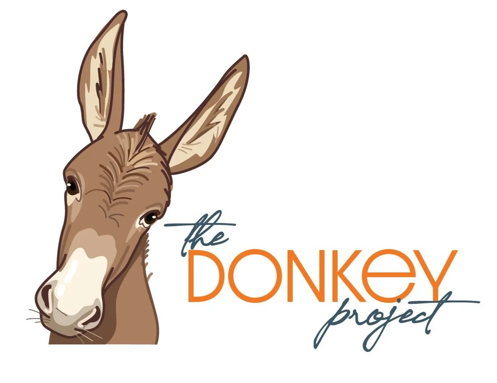 The Donkey Project — Brooke USA