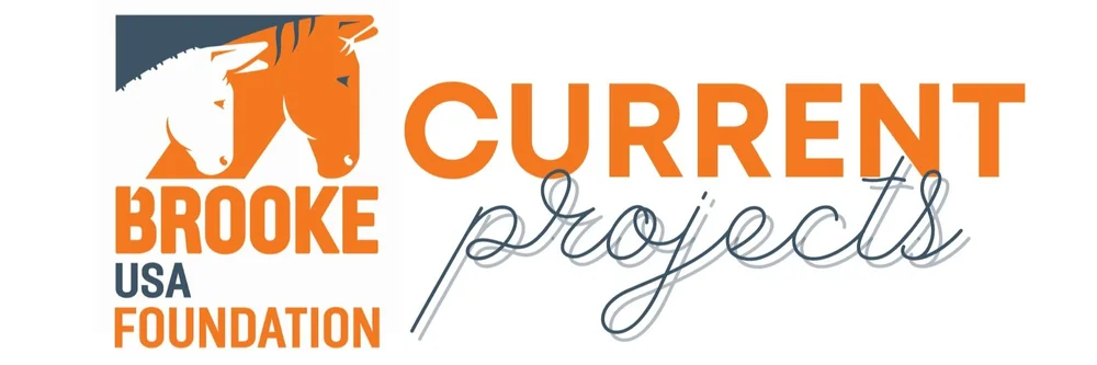 Current Projects — Brooke USA