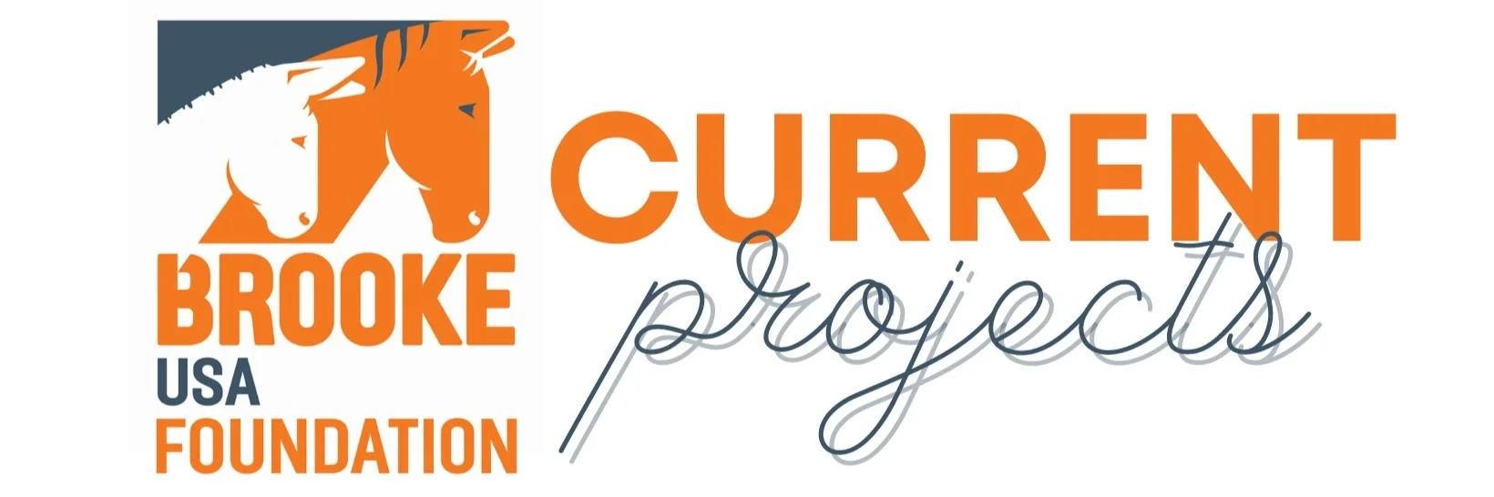 Current Projects — Brooke USA