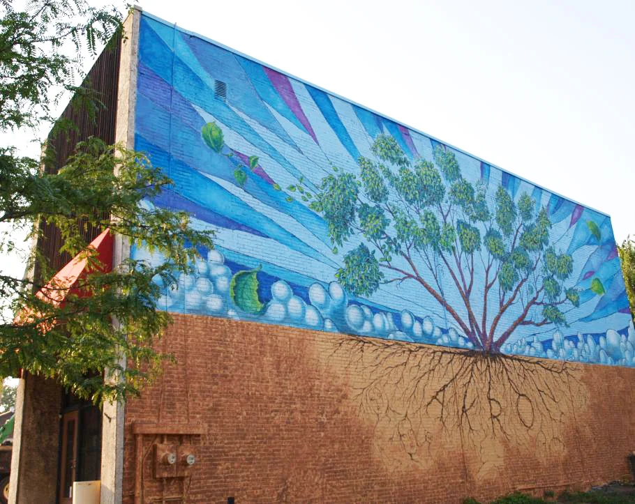 Get in Touch — Hazel Tree Design Studio