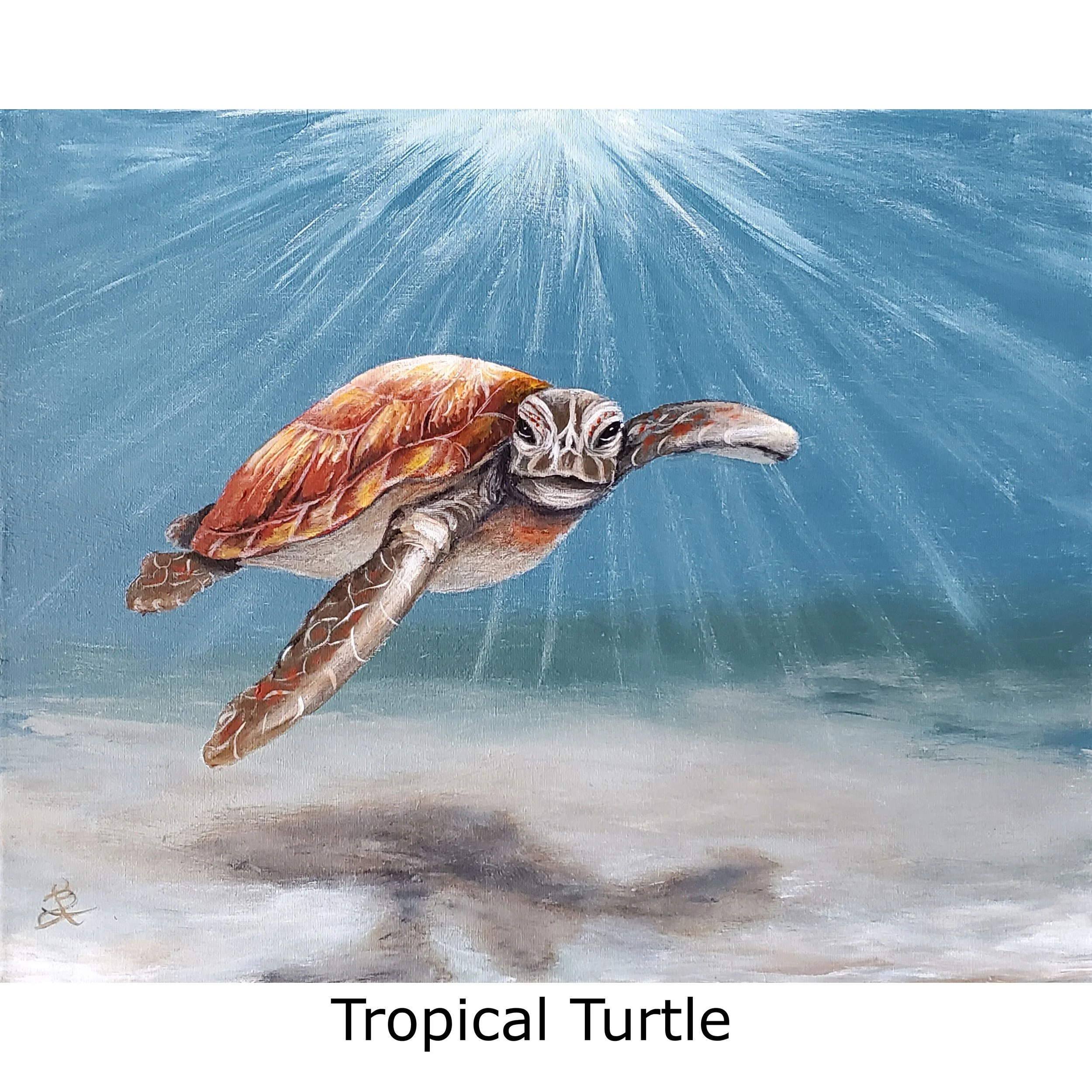 Tropical Turtle — Michelle the Painter