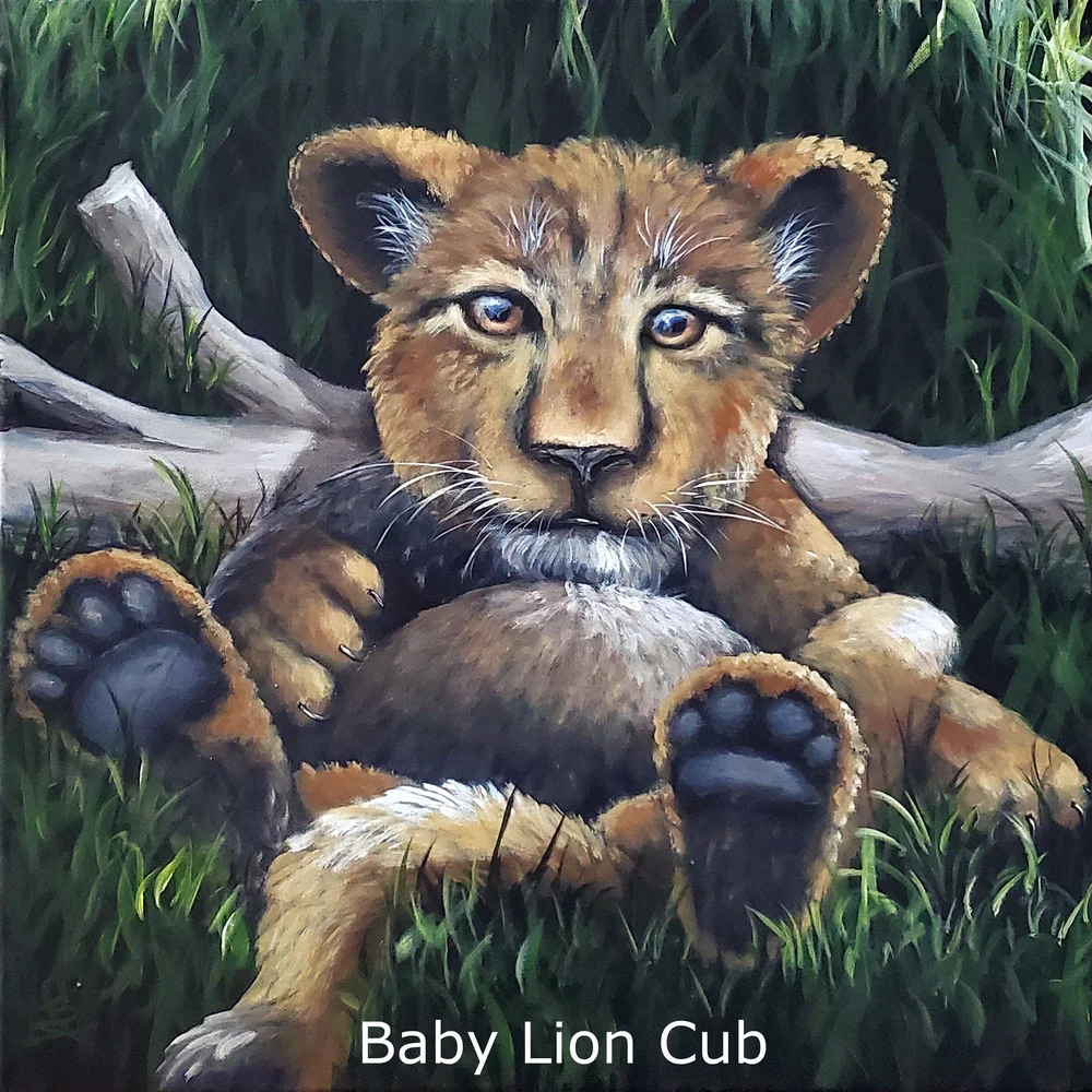 Bebe Lion