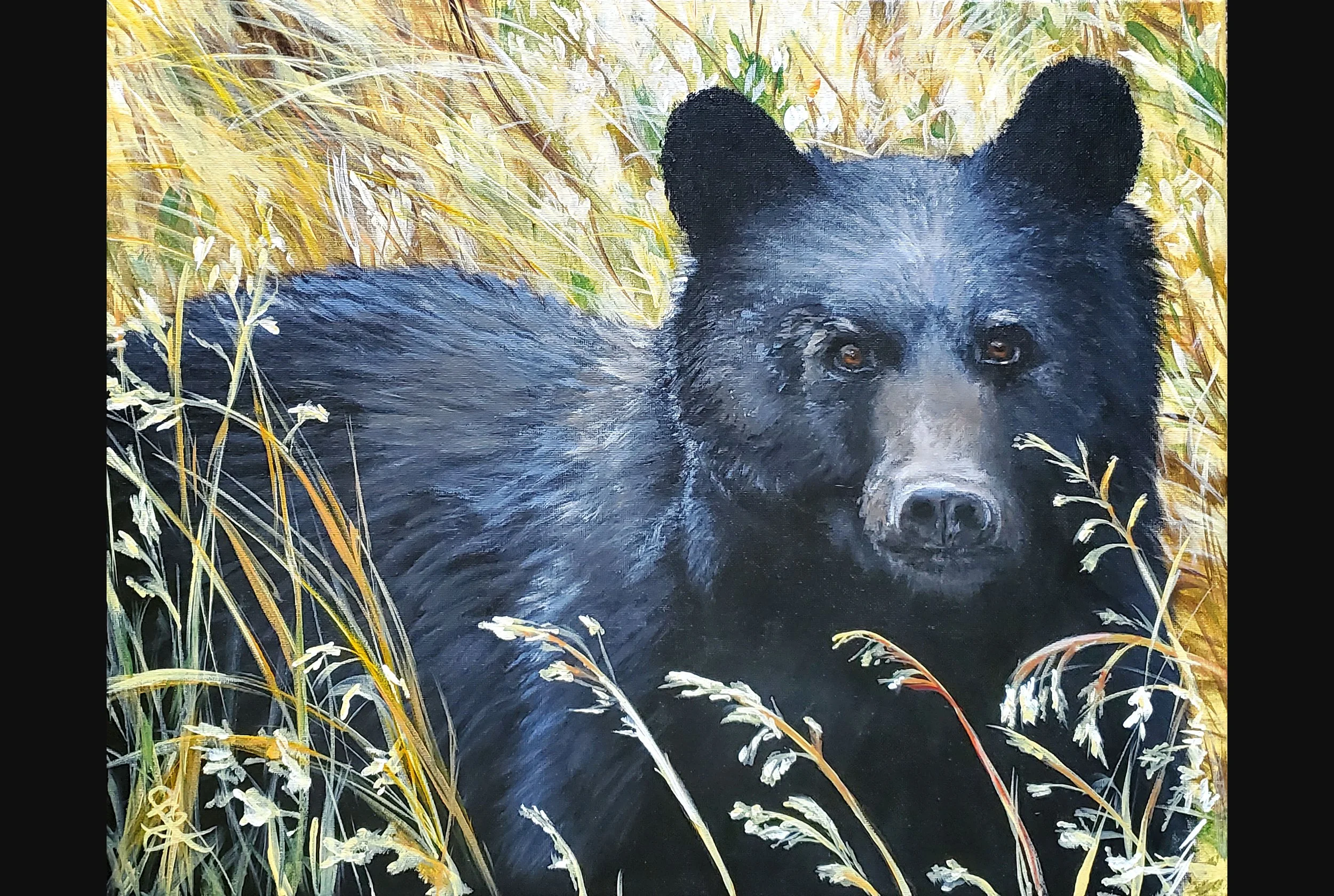 Animal Designs — Michelle the Painter