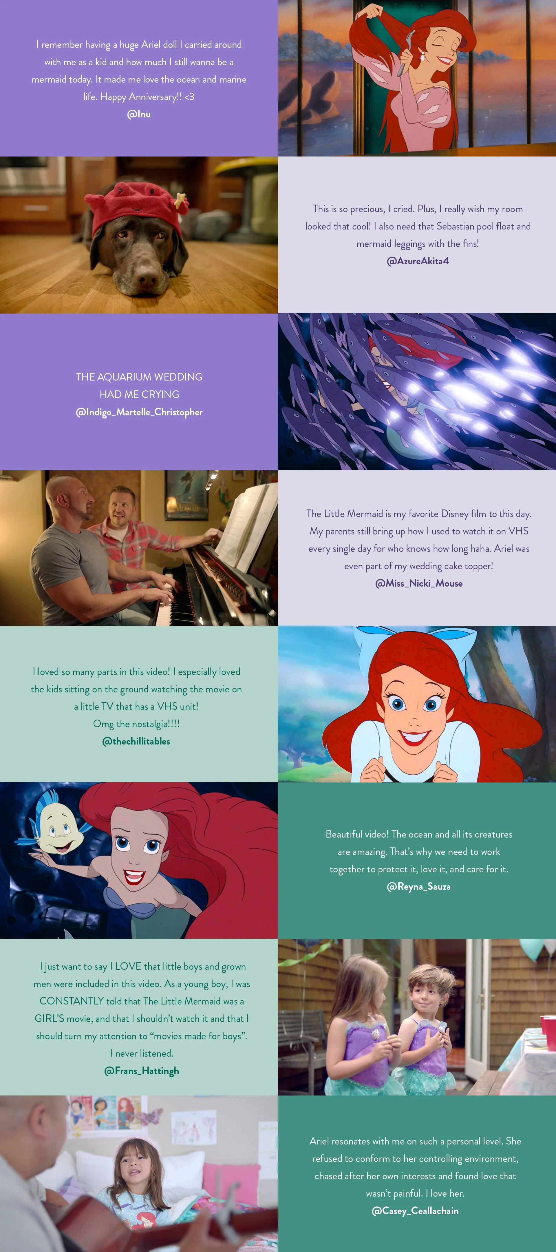 Ariel The Little Mermaid Captured