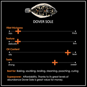 Pacific Dover Sole Fish Species Information — Positively Groundfish