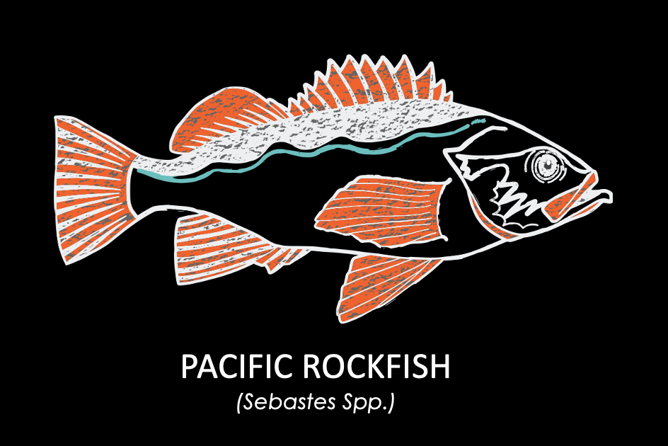 Groundfish Info — Positively Groundfish