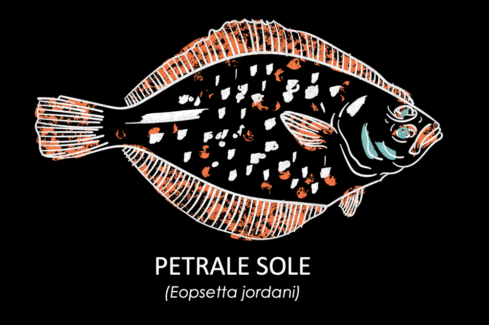 Groundfish Info — Positively Groundfish