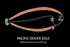 Groundfish Info — Positively Groundfish