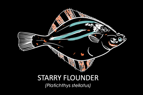 Groundfish Info — Positively Groundfish
