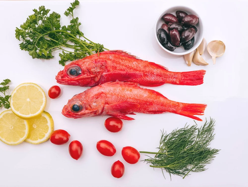 Thornyhead Fish Species Information — Positively Groundfish