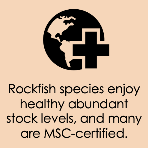 Pacific Rockfish - Fish Species Information — Positively Groundfish