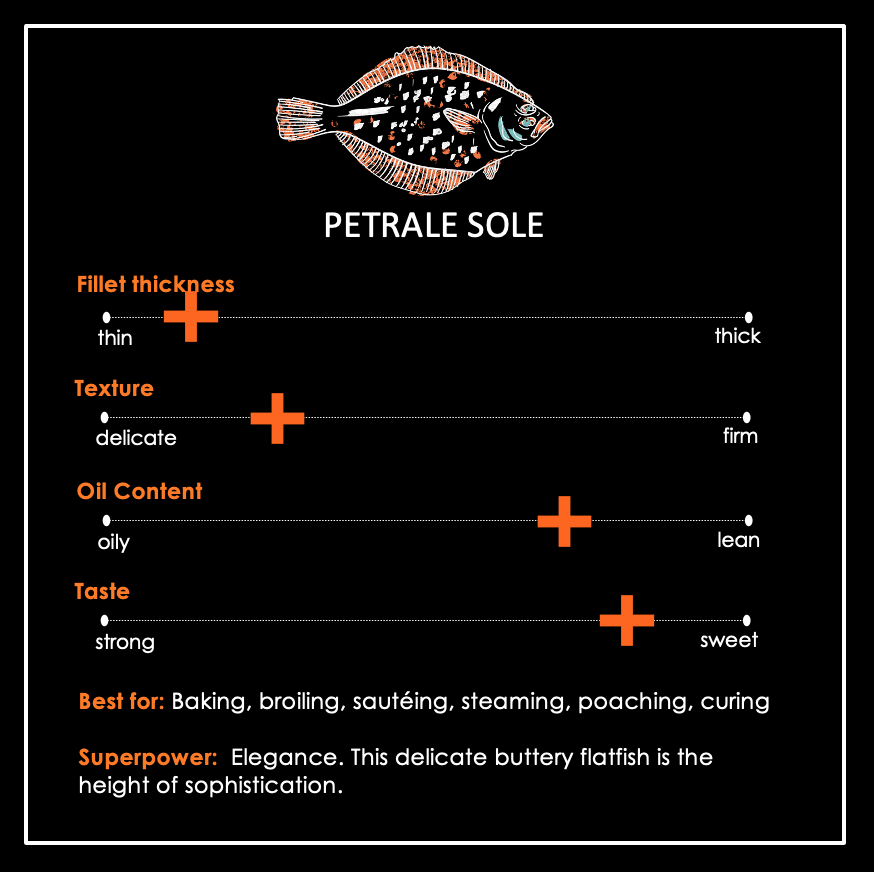 Petrale Sole Fish Species Information — Positively Groundfish
