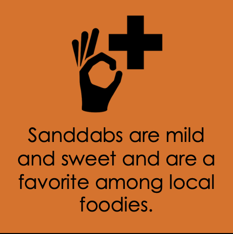 Sanddab Fish Species Information — Positively Groundfish