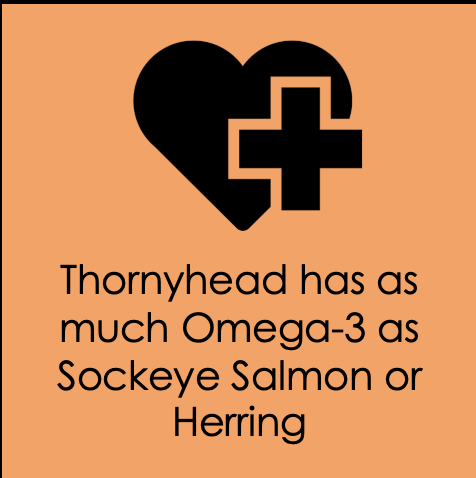 Thornyhead Fish Species Information — Positively Groundfish