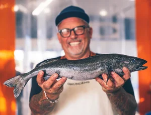 Black Cod / Sablefish - Fish Species Information — Positively Groundfish
