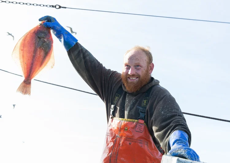 Petrale Sole Fish Species Information — Positively Groundfish