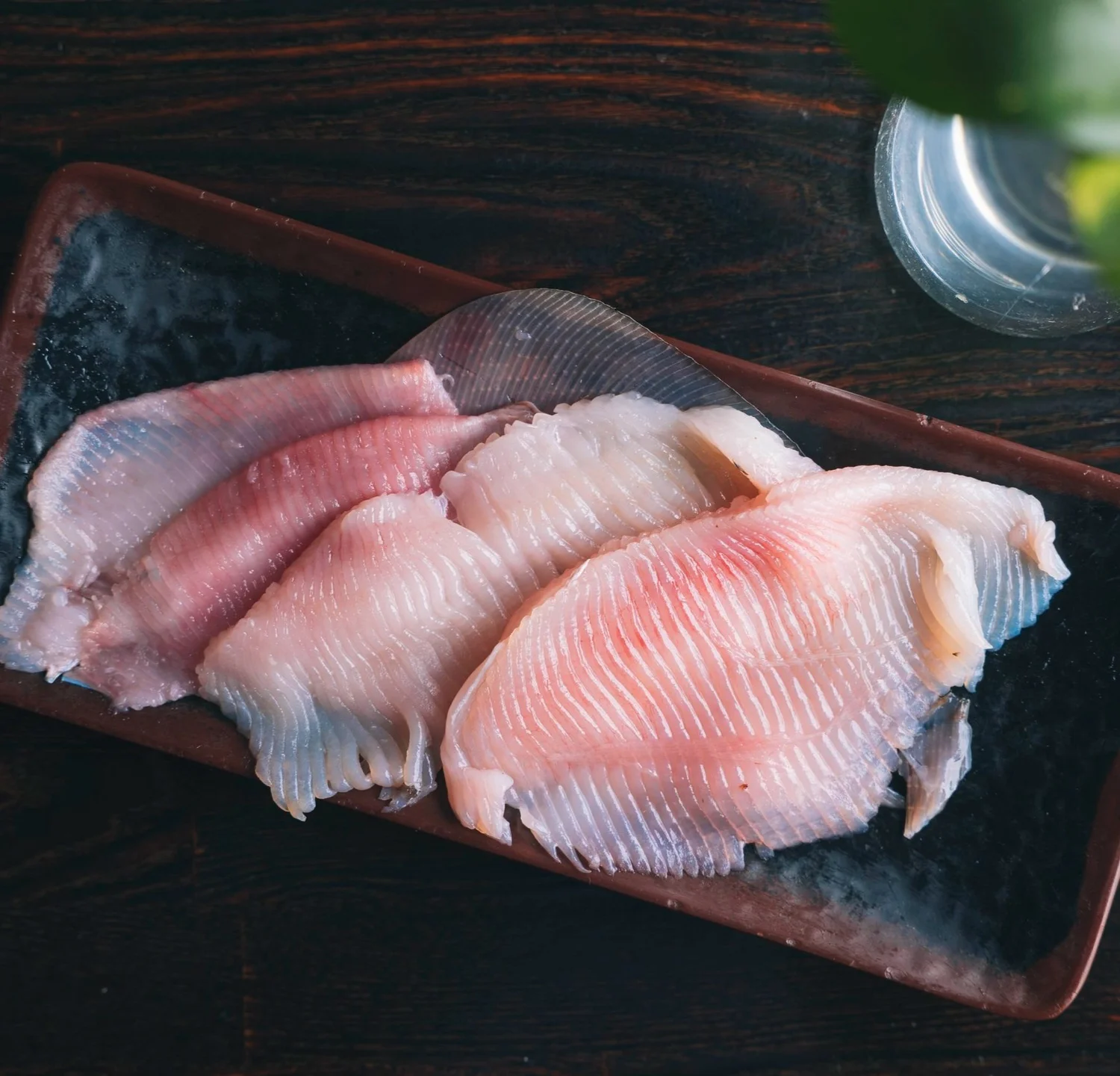 Skate Fish — Positively Groundfish