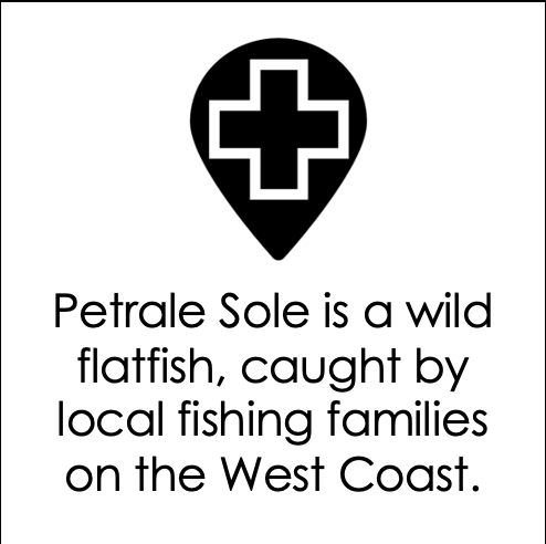 Petrale Sole Fish Species Information — Positively Groundfish
