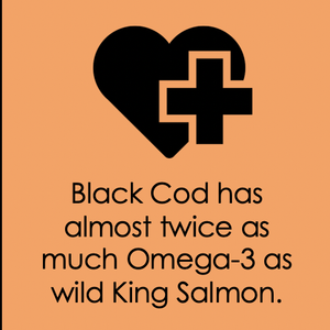 Black Cod / Sablefish - Fish Species Information — Positively Groundfish