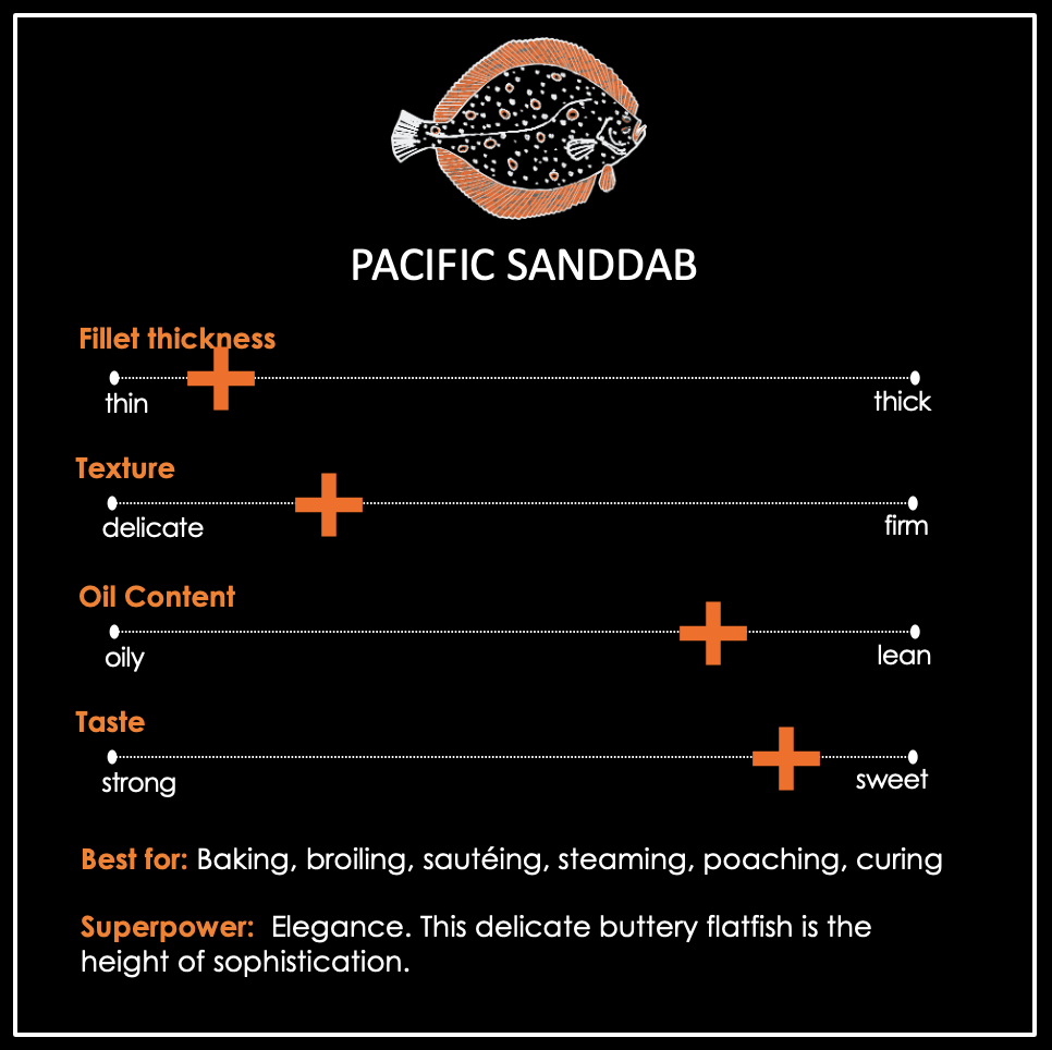 Sanddab Fish Species Information — Positively Groundfish